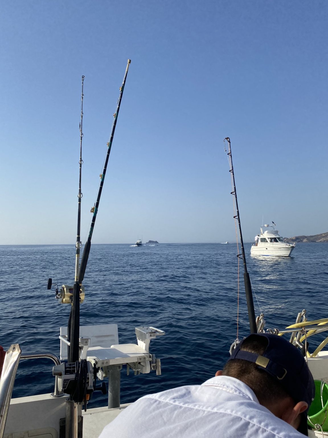 Actualidad – icatmar