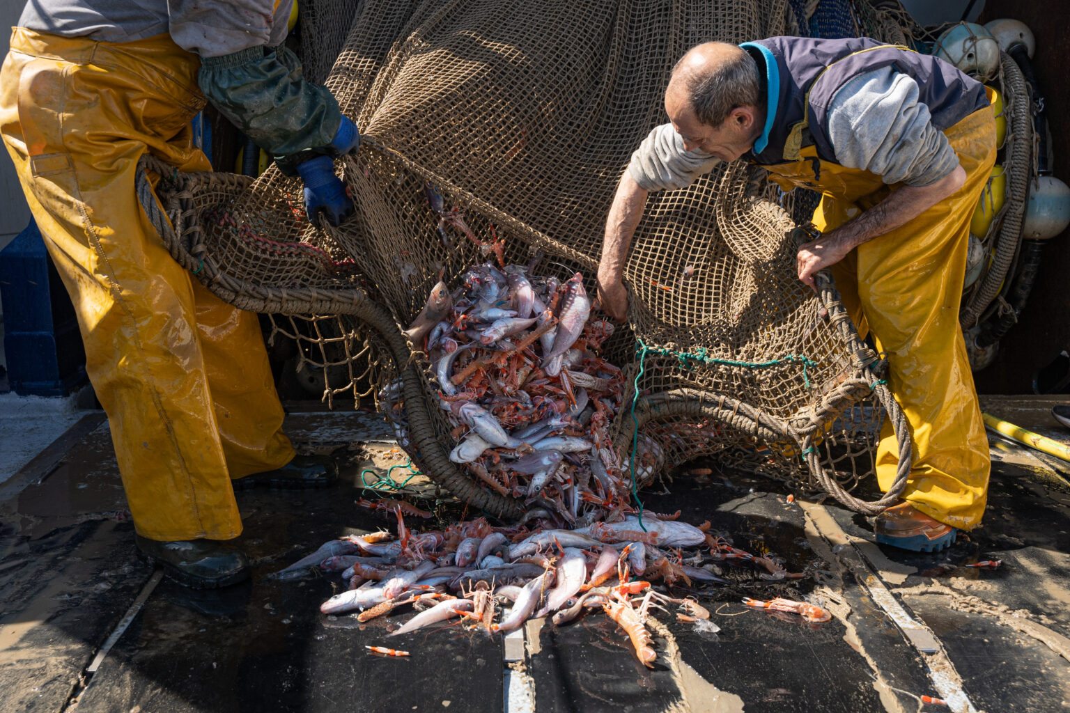 The cycle of knowledge transfer sessions for the fishing sector begins – icatmar